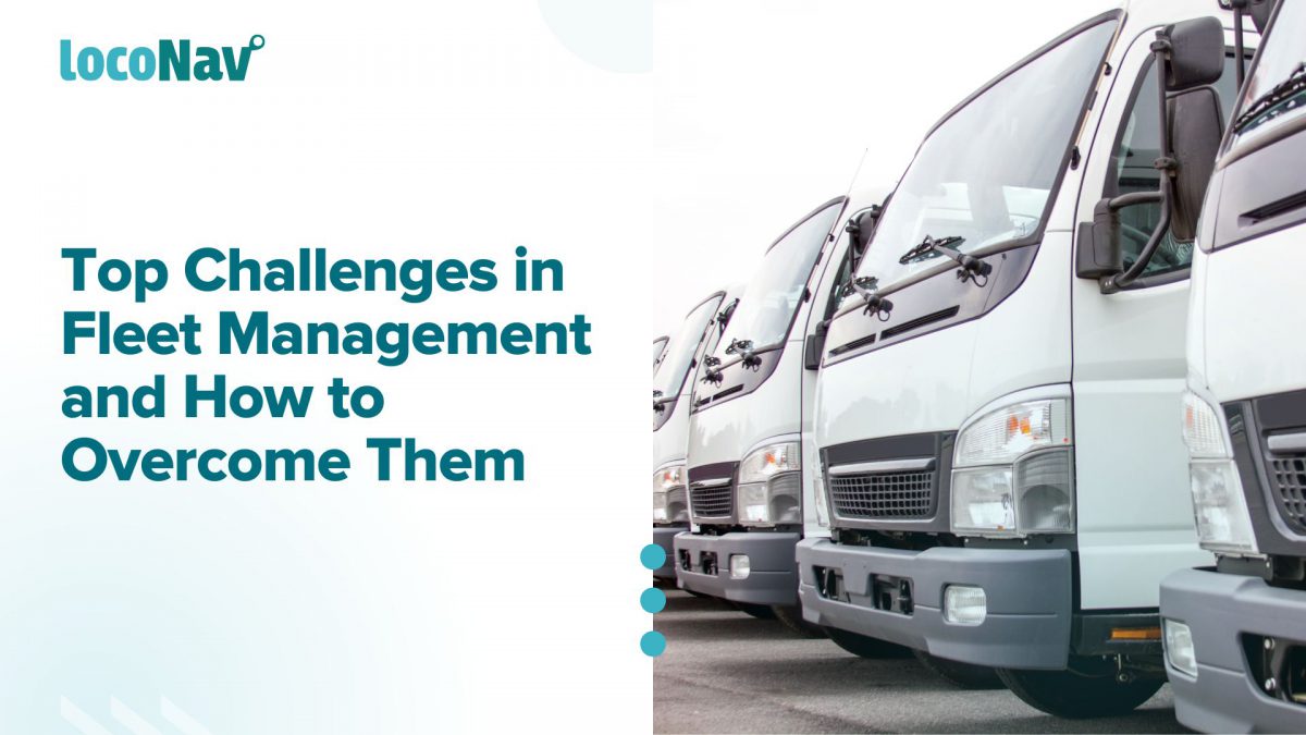 Fleet Management Solution: Tips & Tricks You Should Know As A Fleet Manager | LocoNav